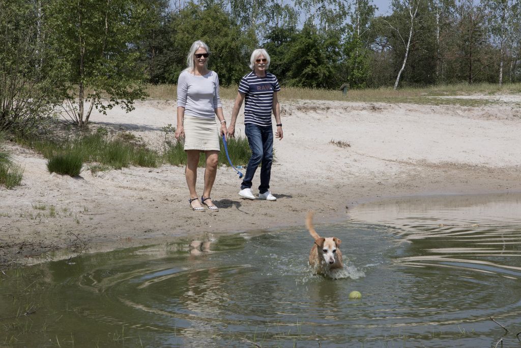 Feriepark Landal Sallandse Heuvelrug | Landal GreenParks