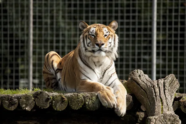 Surroundings of Landal Rockingham Forest