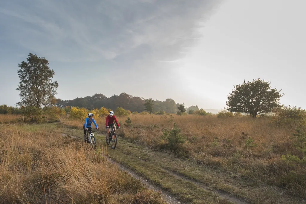 Feriepark Landal Sallandse Heuvelrug | Landal GreenParks