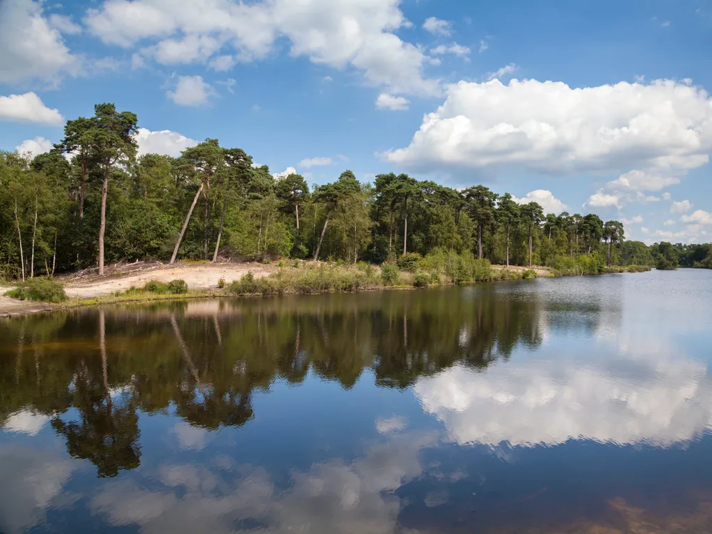 Vakantiepark Landal Klein Oisterwijk | Landal GreenParks