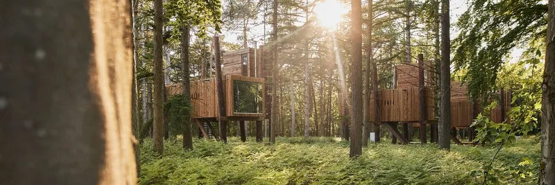 Vakantiepark Landal Forest Resort Your Nature | Landal GreenParks