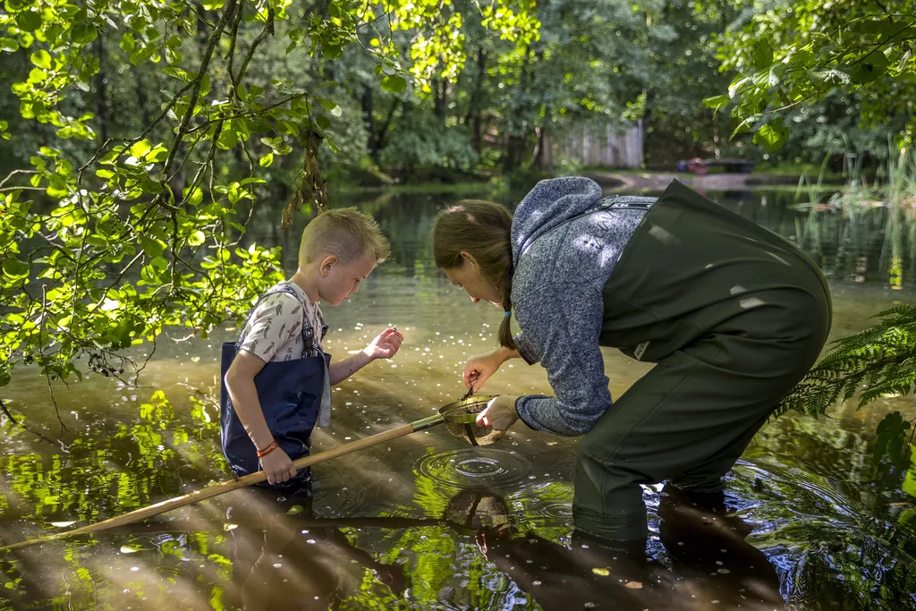 Feriepark Landal Søhøjlandet | Landal GreenParks