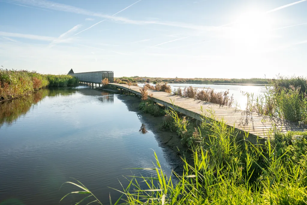 Holiday park Landal Marker Wadden | Landal GreenParks