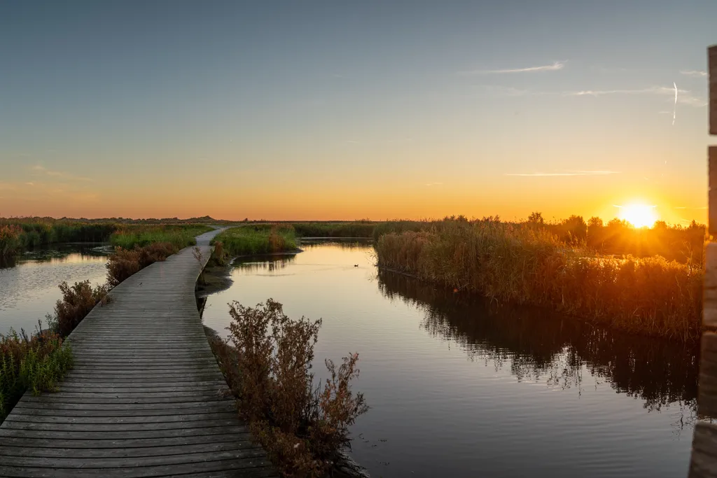 Holiday park Landal Marker Wadden | Landal GreenParks